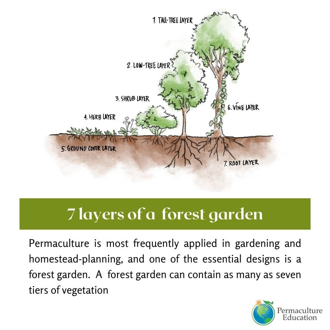 Highlights of the Permaculture Design Process | Permaculture Education ...